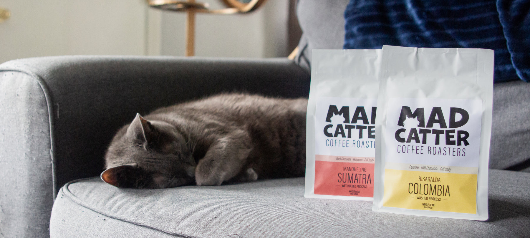 Mad Catter Coffee Roasters